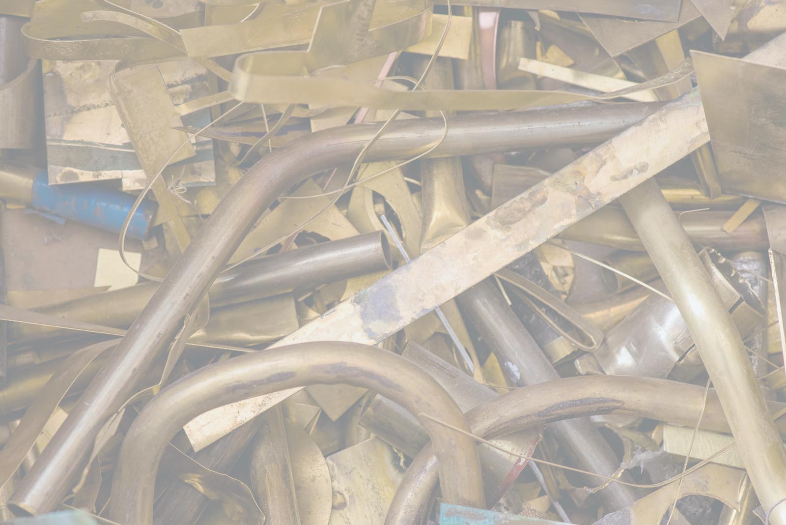 Metro Detroit's Best